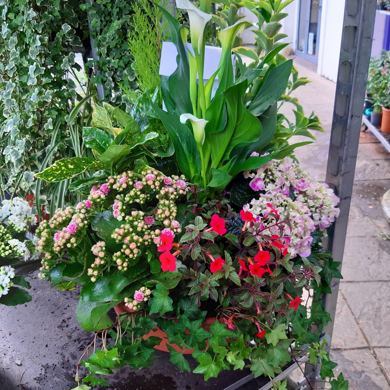 Composition Plantes Fleuries et Vertes de saison – DÉCO & FLEURS